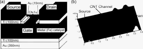Conductance of individual channels in a carbon nanotube field-effect ...