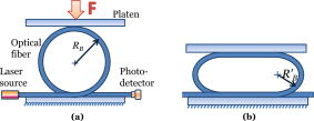 Power modulation based fiber-optic loop-sensor having a dual ...