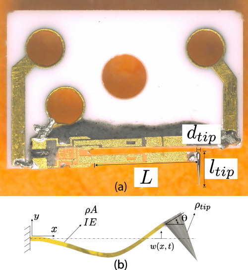 Higher Order Eigenmodes Of Qplus Sensors For High Resolution Dynamic Atomic Force Microscopy