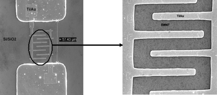 Hypergolic fuel detection using individual single walled carbon ...