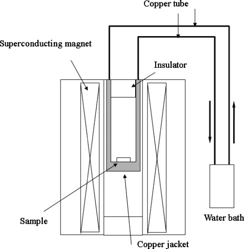 Magnetic alignment of plant cell microfibrils and their anisotropic ...