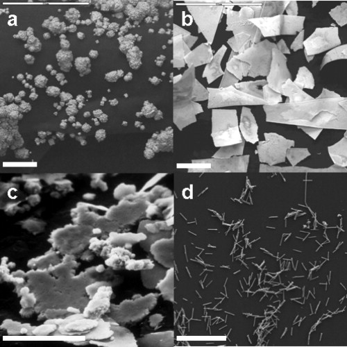 Vortex magnetic field mixing with anisometric particles | Journal of ...