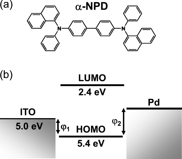 Hole transport in the organic small molecule material α-NPD⁠: evidence ...