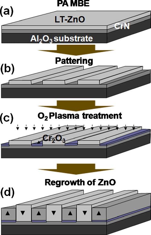 Anisotropic properties of periodically polarity-inverted zinc oxide ...