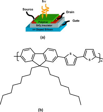 Device physics of highly sensitive thin film polyfluorene copolymer ...