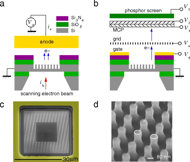 Marshmallowing of nanopillar arrays by field emission | Journal of Applied Physics | AIP Publishing