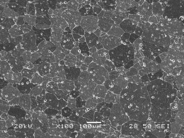 Evolution of ferroelectric domain structures embedded inside ...