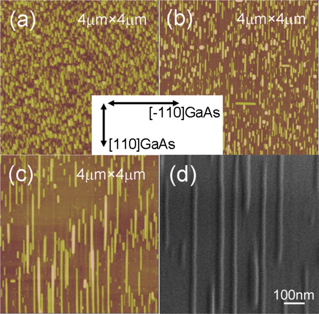 Self-assembly and magnetic properties of MnAs nanowires on GaAs(001 ...