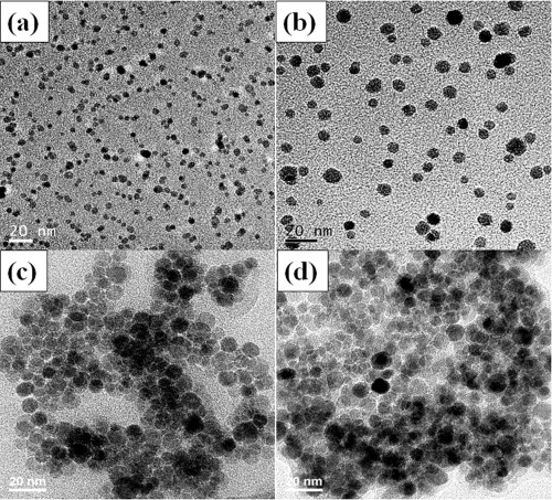 Polyol-based synthesis of hydrophilic magnetite nanoparticles | Journal ...