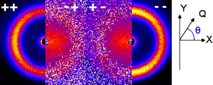Internal magnetic structure of magnetite nanoparticles at low ...