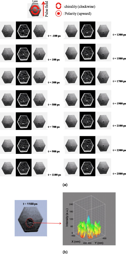 Magnetic vortex dynamics on a picoseconds timescale in a hexagonal ...