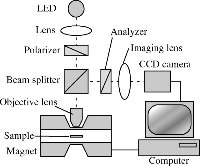 Magneto-optical imaging and coercivity mapping of GdFe spin-valve ...