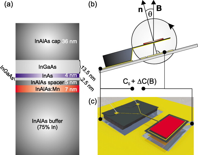 Magnetism in a Mn modulation-doped InAs/InGaAs heterostructure with a ...