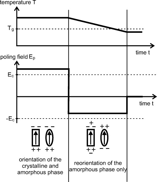 Patterned piezo-, pyro-, and ferroelectricity of poled polymer ...