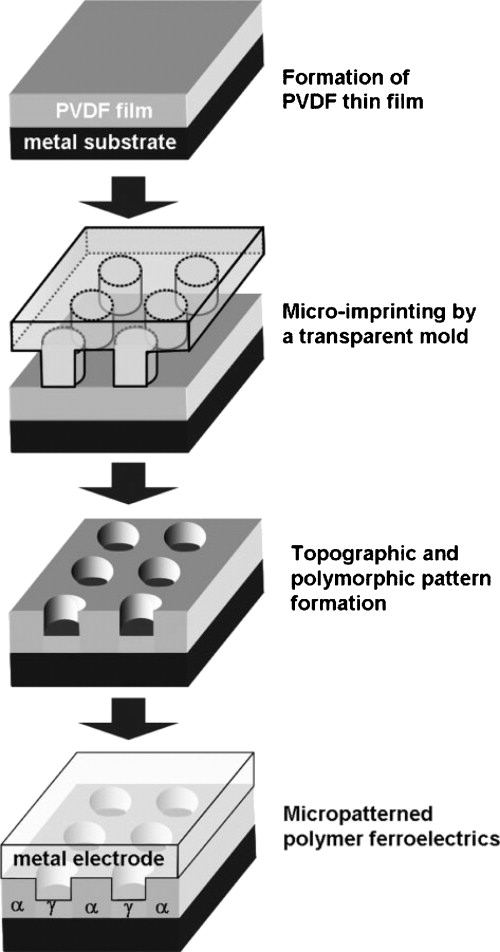 Patterned piezo-, pyro-, and ferroelectricity of poled polymer ...