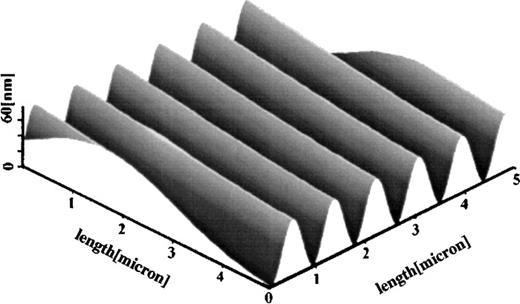 Patterned piezo-, pyro-, and ferroelectricity of poled polymer ...