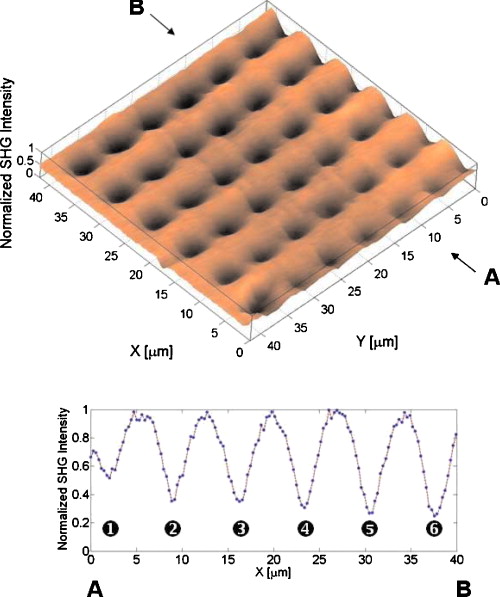 Patterned piezo-, pyro-, and ferroelectricity of poled polymer ...