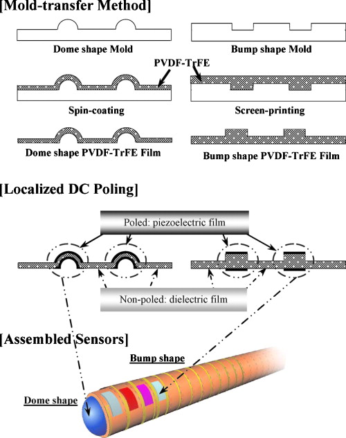 Patterned piezo-, pyro-, and ferroelectricity of poled polymer ...