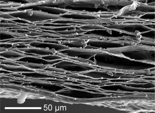 Patterned piezo-, pyro-, and ferroelectricity of poled polymer ...