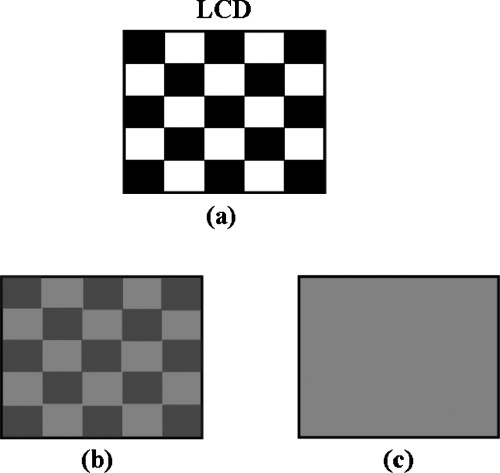 Behavior of ion affecting image sticking on liquid crystal displays ...