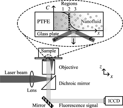 A total internal reflection fluorescence microscopy study of mass ...
