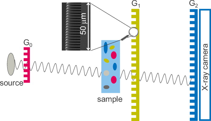 Dual energy phase contrast x-ray imaging with Talbot-Lau interferometer ...