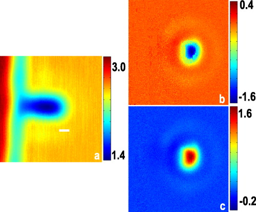 Nanomechanical torque magnetometry of permalloy cantilevers | Journal ...