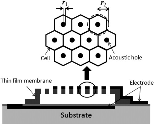 The influence of acoustic damping on the transformation efficiency of ...