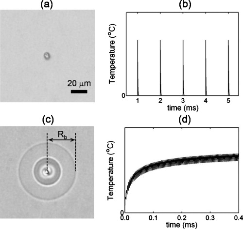 Mechanism of heat-modification inside a glass after irradiation with ...