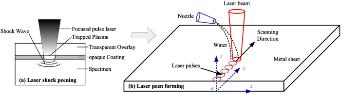 Laser peen forming induced two way bending of thin sheet metals and its ...