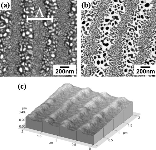 Self-organized, gratinglike nanostructures in polymer films with ...