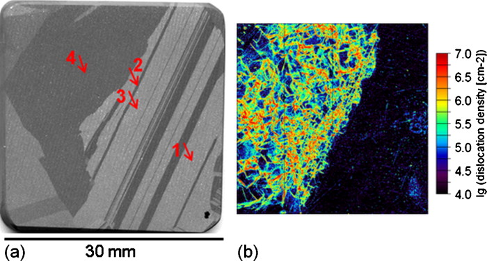 The relationship between microstructure and dislocation density distribution in multicrystalline ...