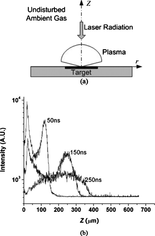Time-resolved observation of the plasma induced by laser metal ablation ...