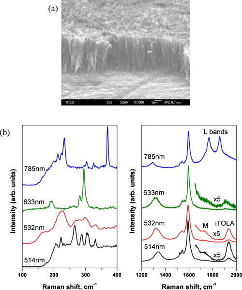 A molecular quantum wire of linear carbon chains encapsulated within ...