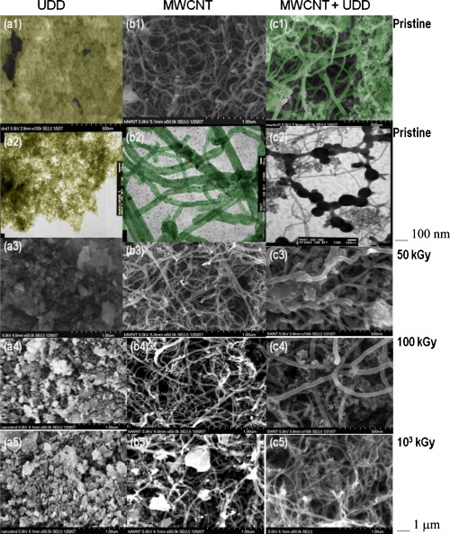 Multiwalled carbon nanotubes and dispersed nanodiamond novel hybrids ...