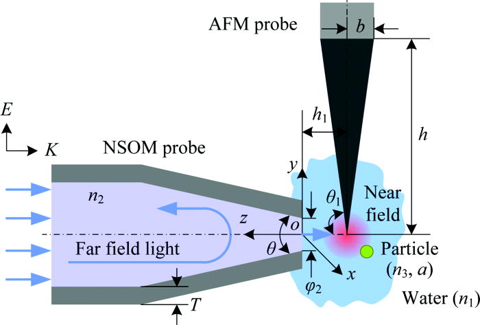 Simulation of near-field optical manipulator using the combination of a ...