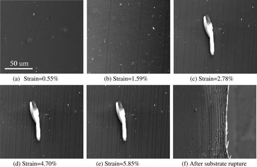 In situ electro-mechanical experiments and mechanics modeling of ...