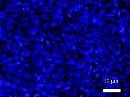 Ultra fast polymer network blue phase liquid crystals | Journal of ...