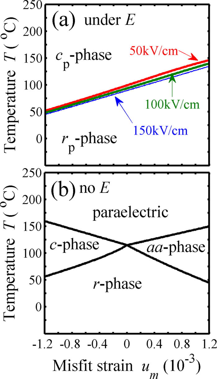 Sizable electrocaloric effect in a wide temperature range tuned by ...