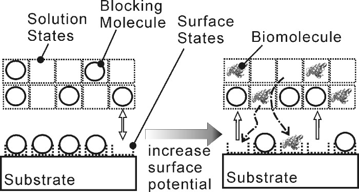 A statistical nanomechanism of biomolecular patterning actuated by ...