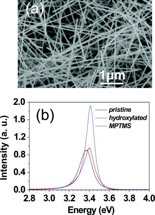 Optical properties of functionalized GaN nanowires | Journal of Applied Physics | AIP Publishing