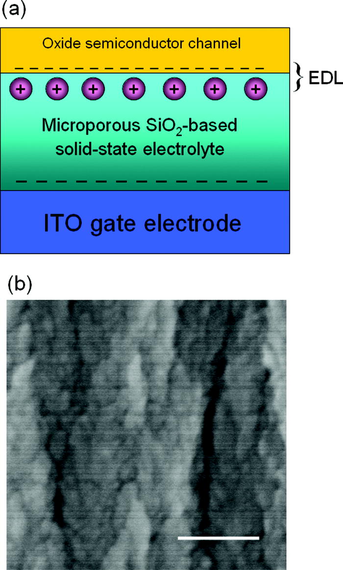 Electrostatic modification of oxide semiconductors by electric double ...