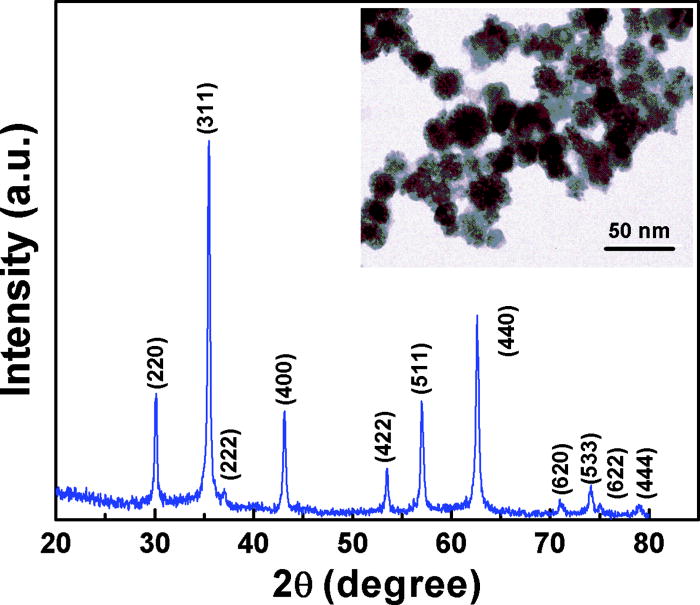 High temperature magnetic properties of magnesium ferrite nanoparticles ...
