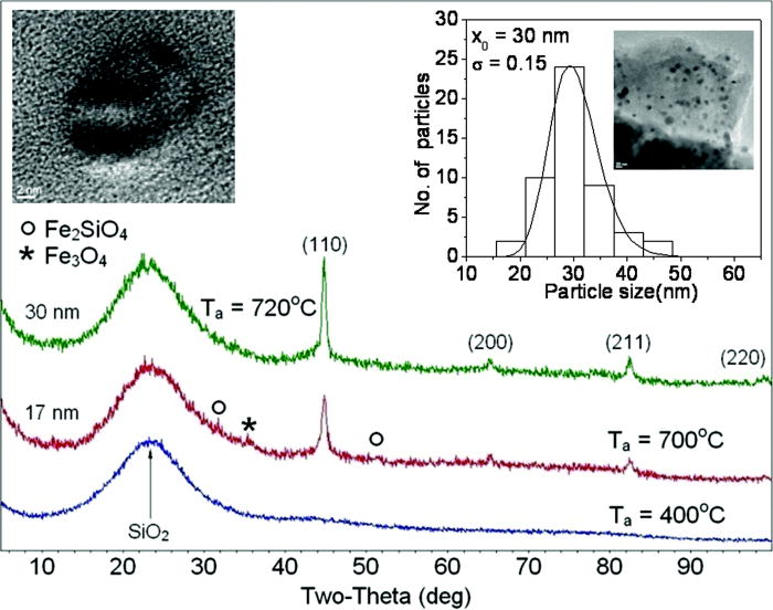 Temperature and size dependence of magnetic and electron magnetic ...