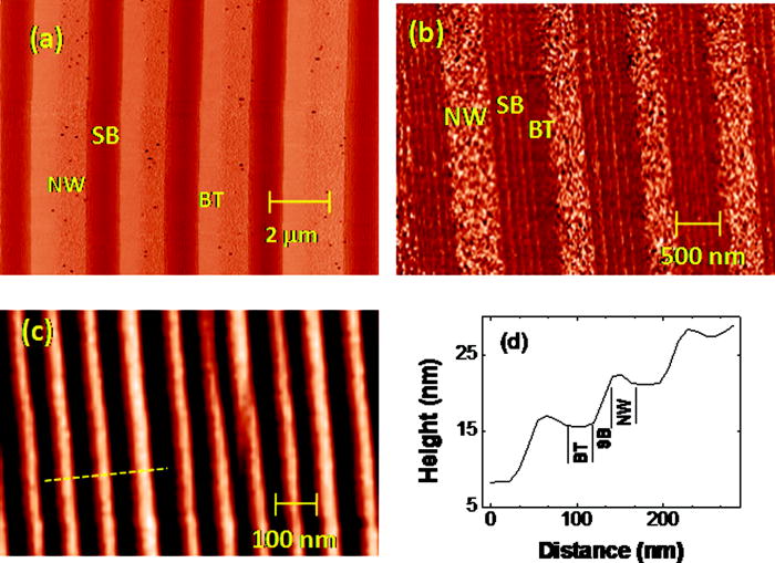 Magnetic properties of planar arrays of Fe-nanowires grown on oxidized ...