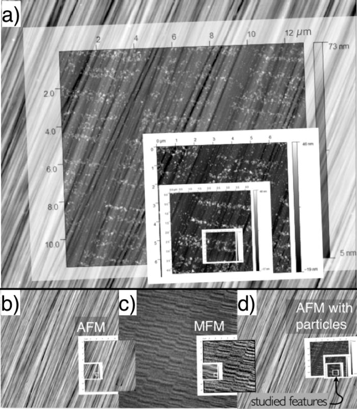 Repeatability of magnetic-field driven self-assembly of magnetic nanoparticles | Journal of ...