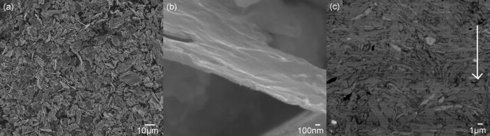 Influence of the type of surfactant and hot compaction on the magnetic ...