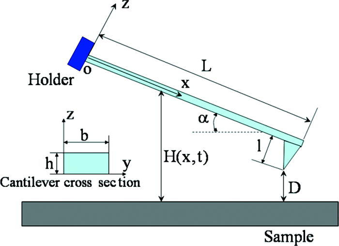 Nonlinear dynamics of tapping-mode atomic force microscopy in liquid ...
