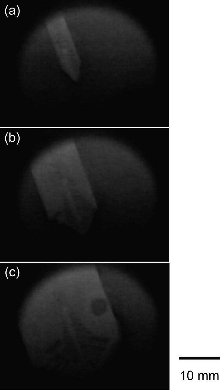 Implementation of faceted dendrite growth on floating cast method to ...