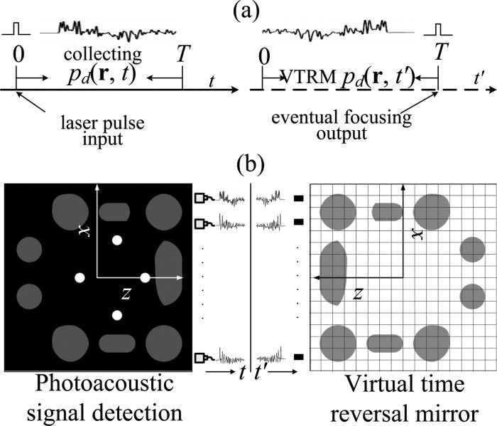 Photoacoustic tomography in scattering biological tissue by using virtual time reversal mirror ...
